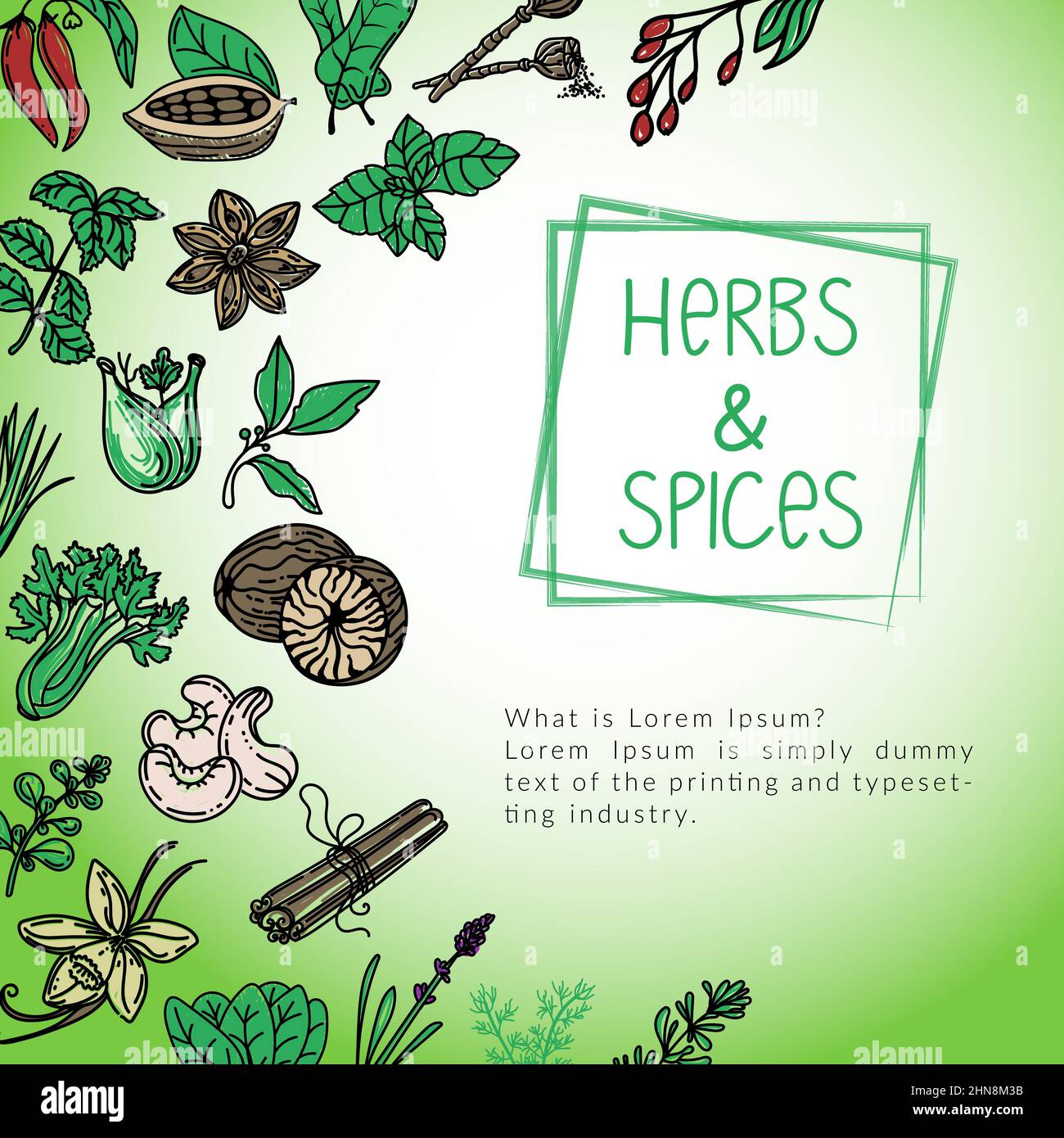 Herb and spice package design template, drawn element in style. Herbs ...