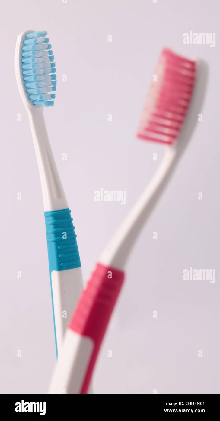 toothbrush, red and blue color toothbrush in white background Stock ...