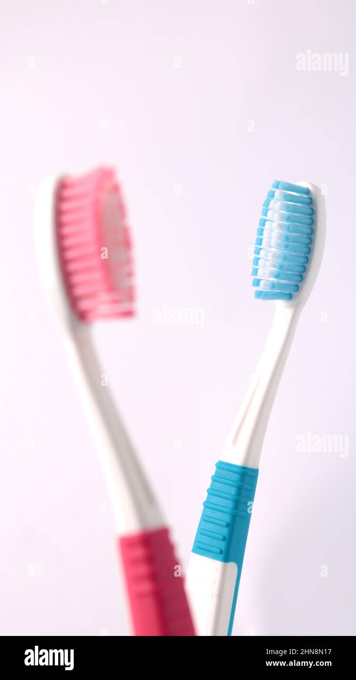 toothbrush, red and blue color toothbrush in white background Stock ...