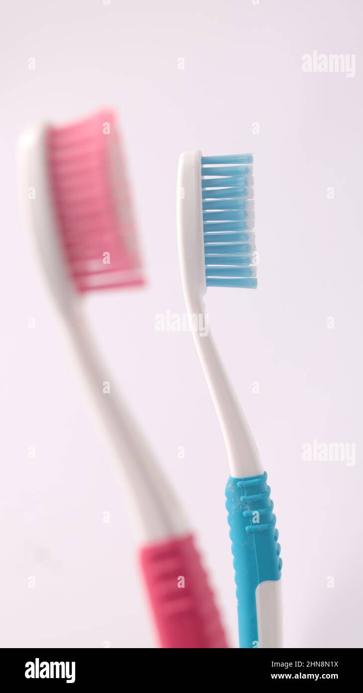 toothbrush, red and blue color toothbrush in white background Stock ...