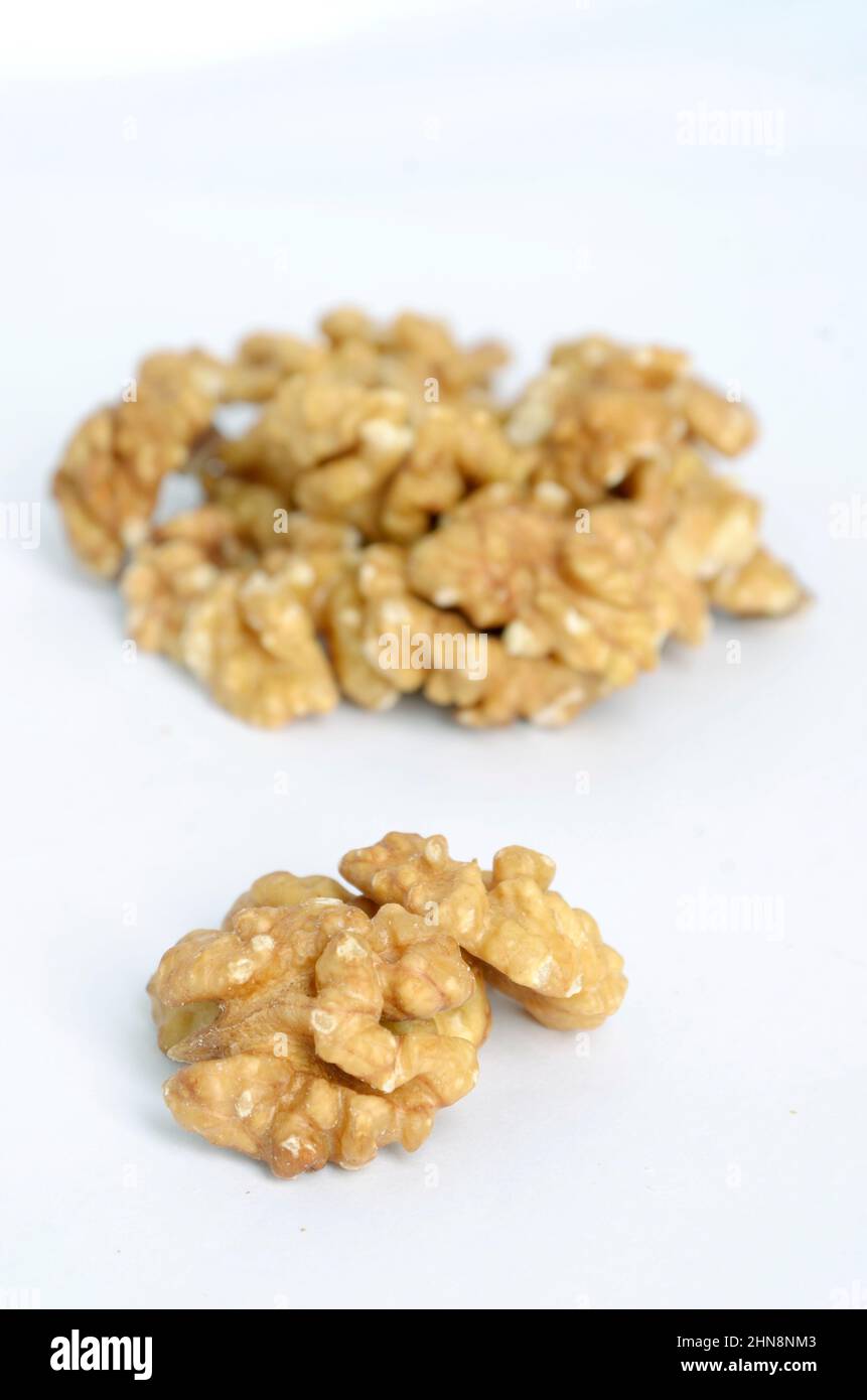walnut peanuts, in white background Stock Photo - Alamy