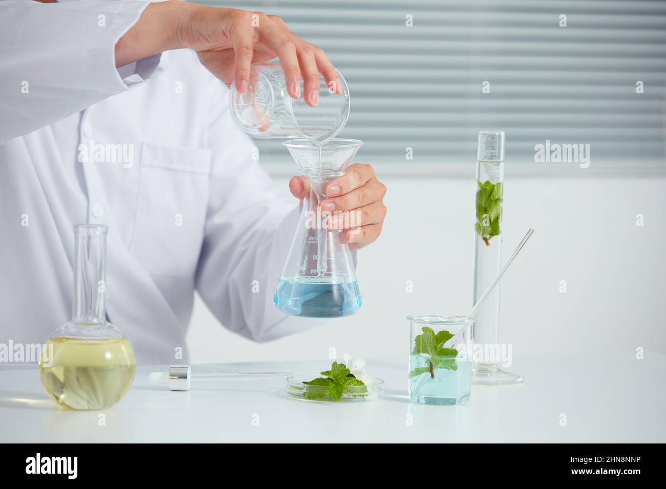 Plants extract in petri dish and a white background in laboratory ...
