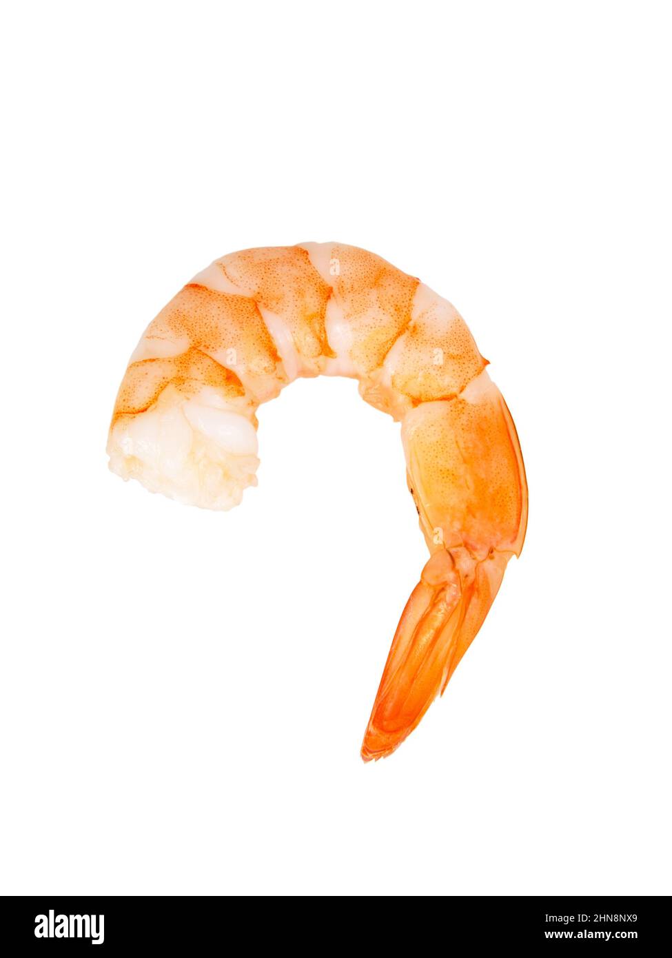 One peeled shrimp isolated on the white background Stock Photo - Alamy