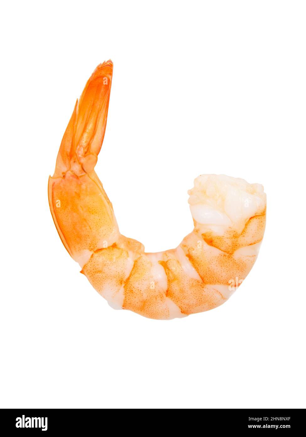 One peeled shrimp isolated on the white background Stock Photo - Alamy