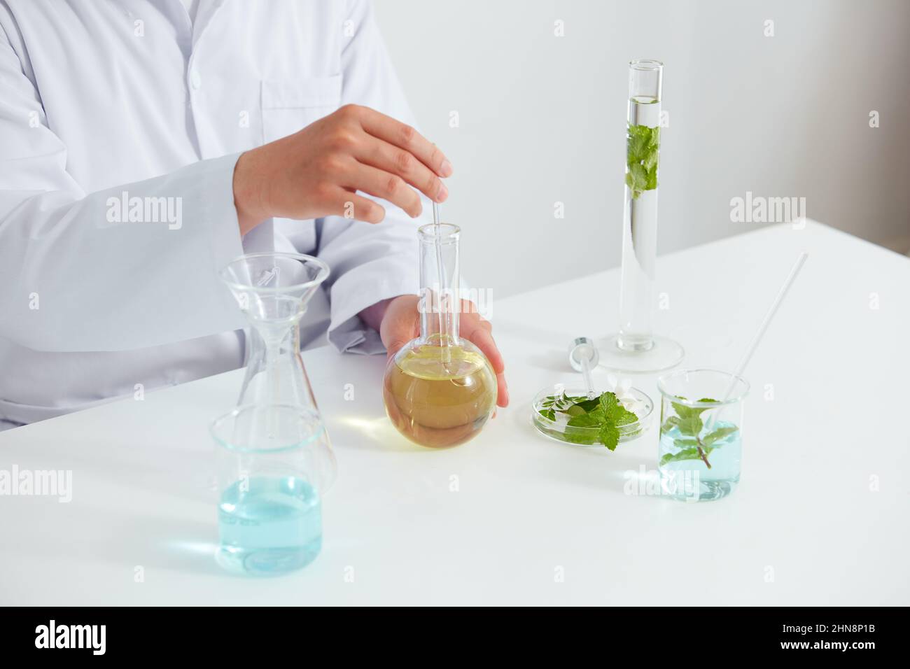 Plants extract in petri dish and a white background in laboratory ...