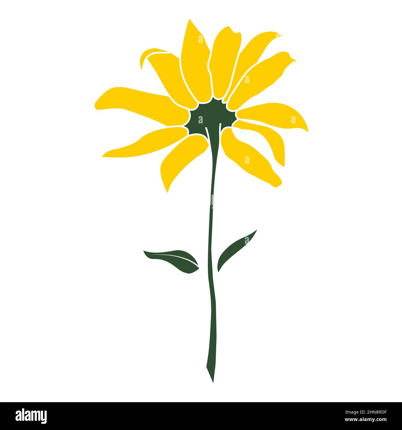Open heliopsis blossom vector illustration isolated on white background ...