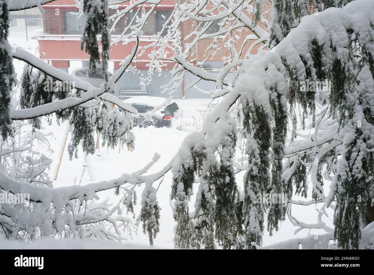 Snowfall frost hi-res stock photography and images - Alamy