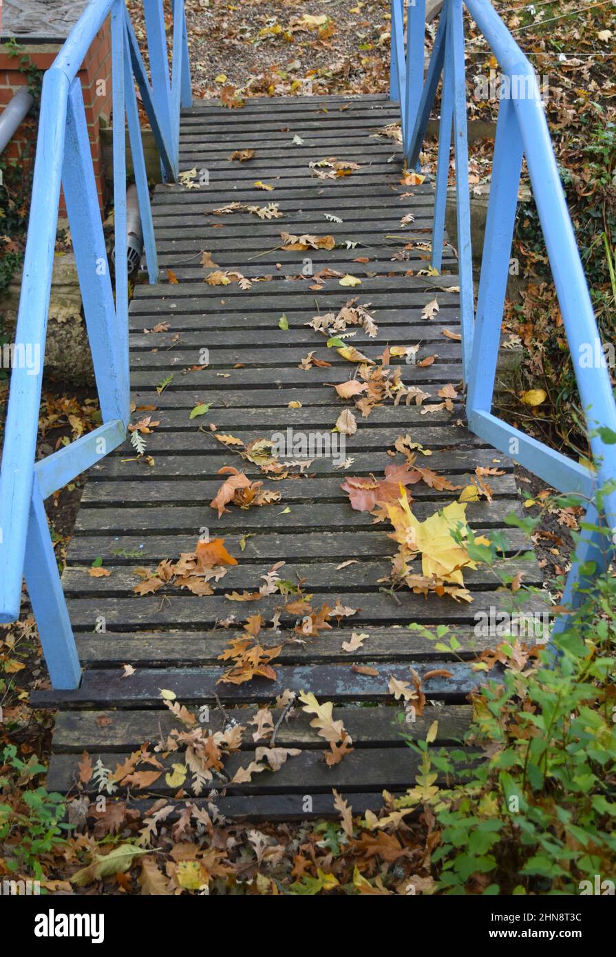 Fallen leaves on the bridge hi-res stock photography and images - Alamy