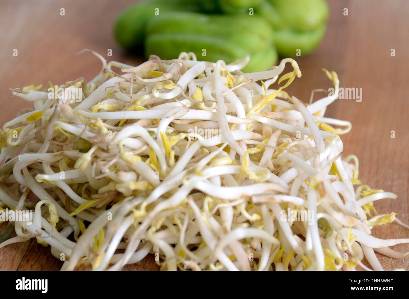 The mung bean sprouts, or toge, asian vegetable Stock Photo - Alamy