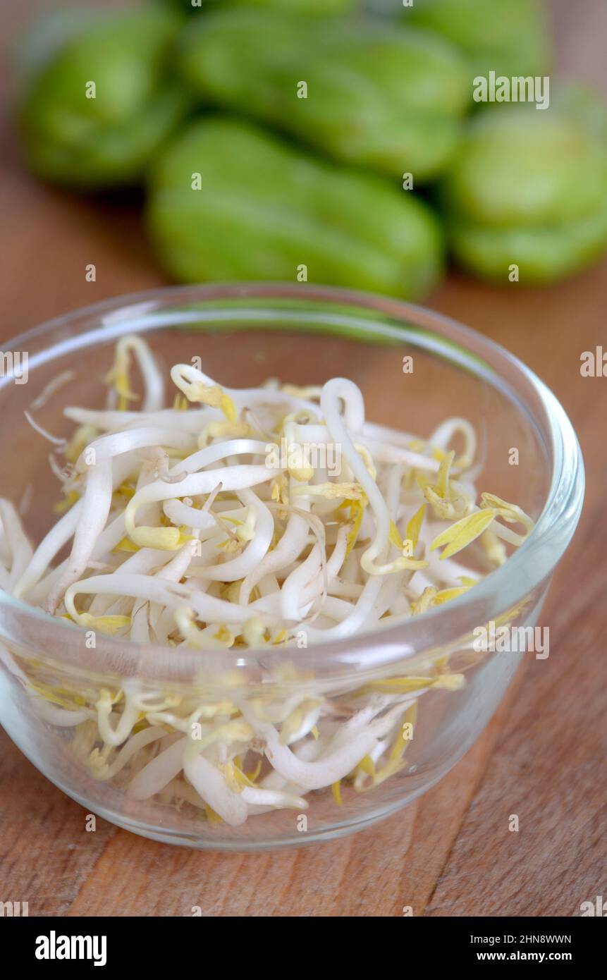 The mung bean sprouts, or toge, asian vegetable Stock Photo - Alamy
