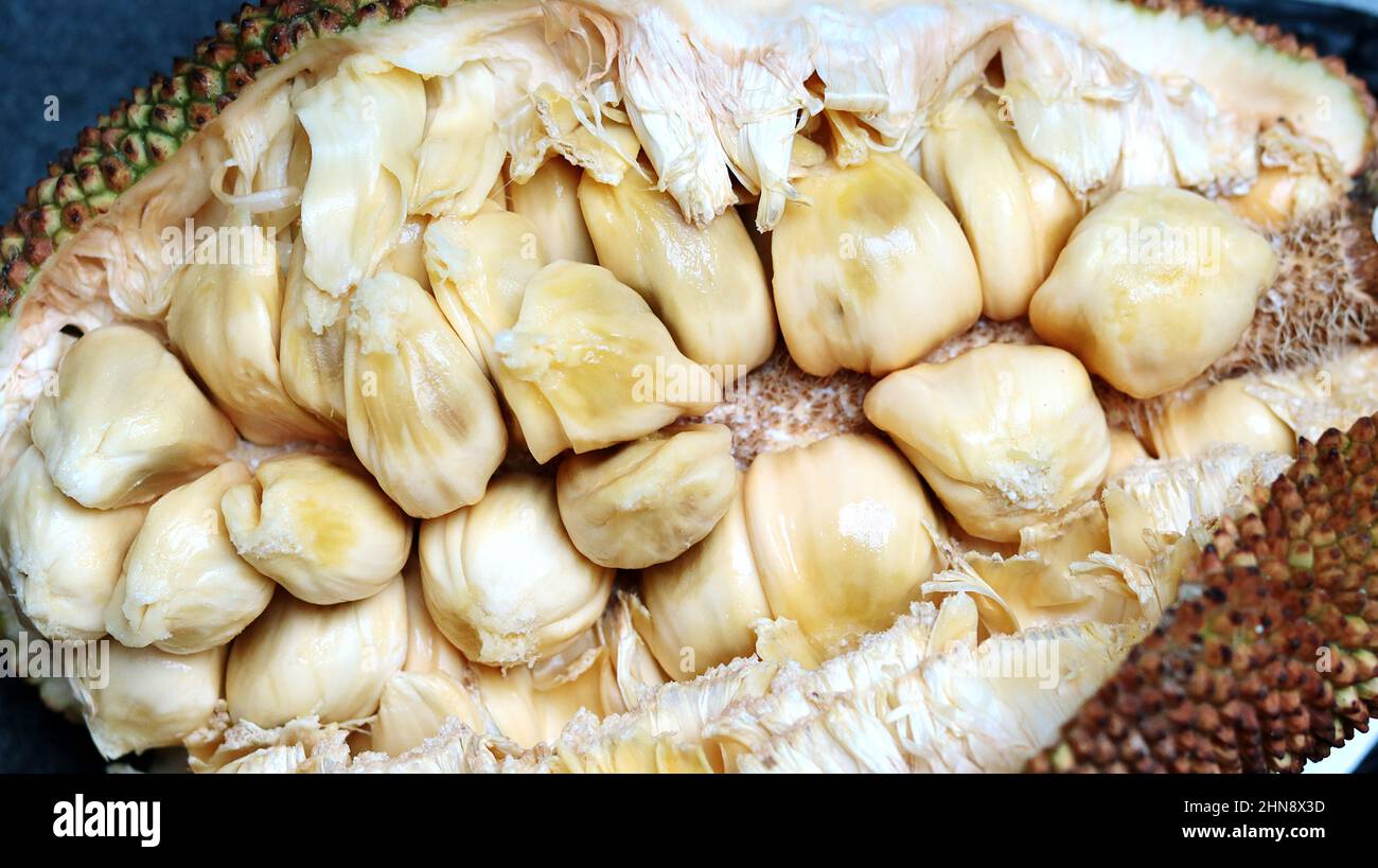 Chempadak hi-res stock photography and images - Alamy