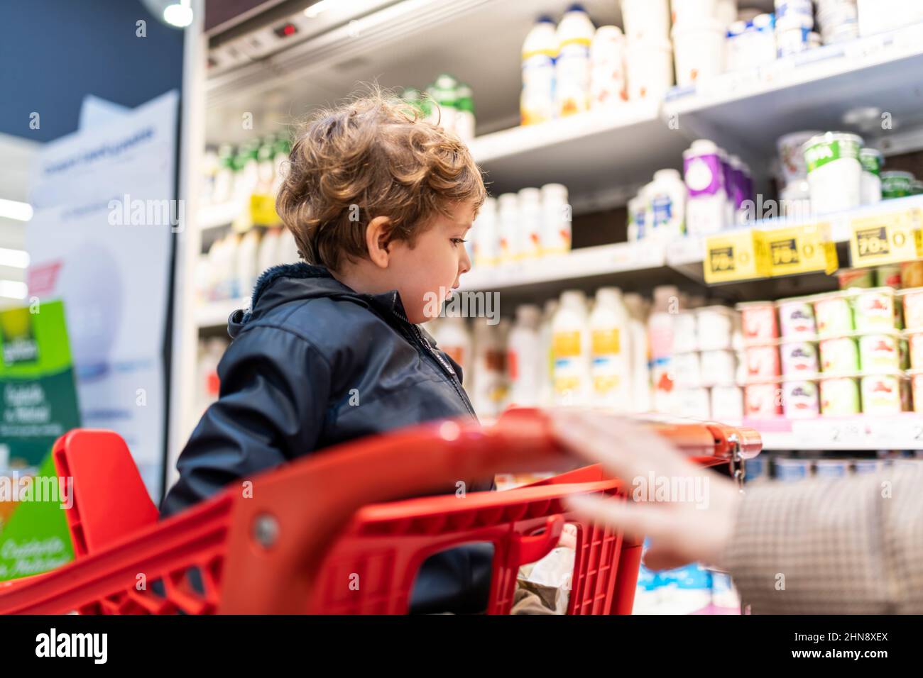 three year old boy in the supermarket looking at the dairy products ...