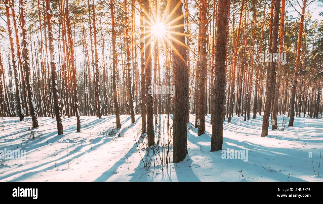Motion from the ground hi-res stock photography and images - Alamy