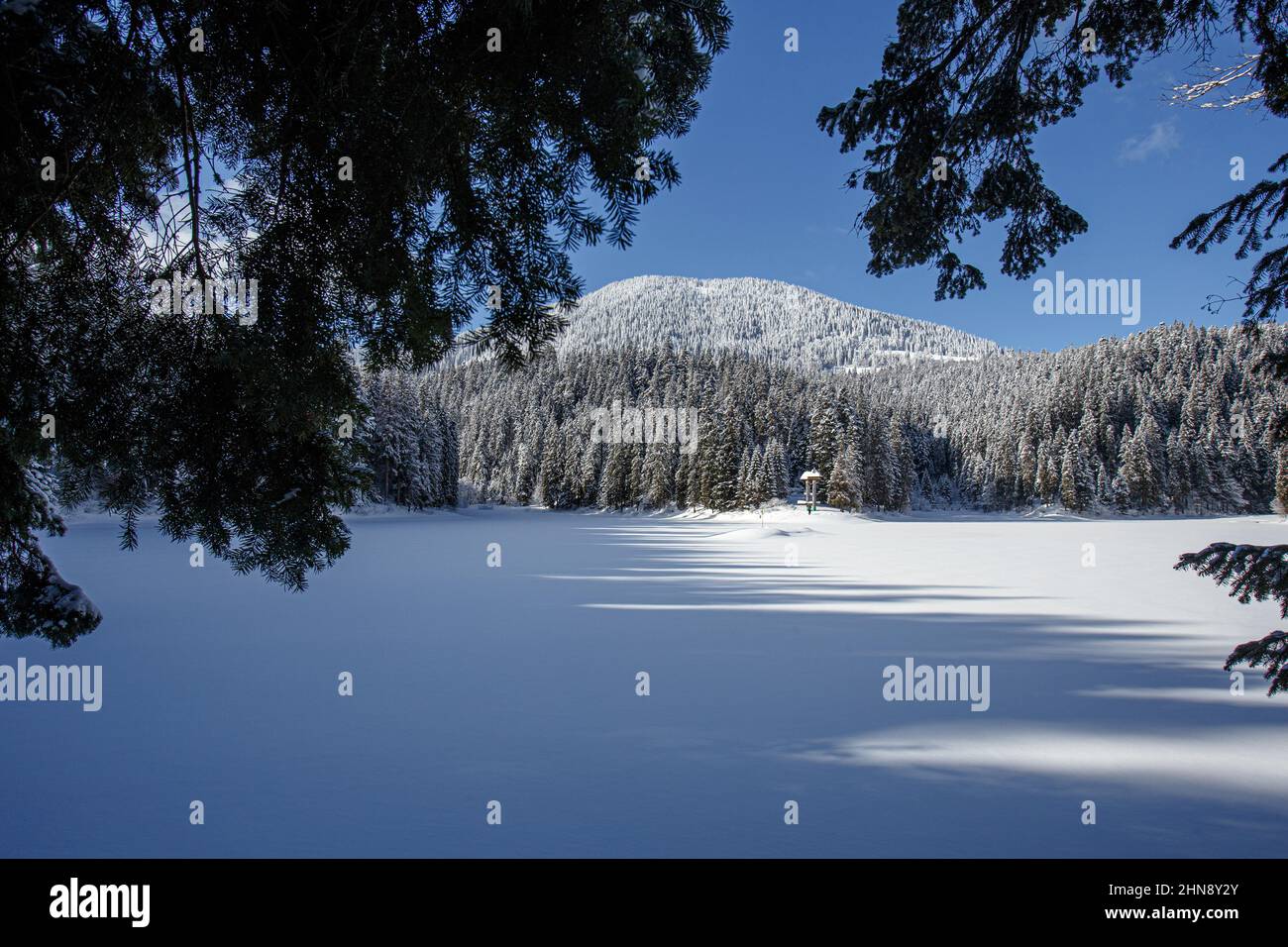 ZAKARPATTIA REGION, UKRAINE - FEBRUARY 12, 2022 - Ice-bound Lake ...