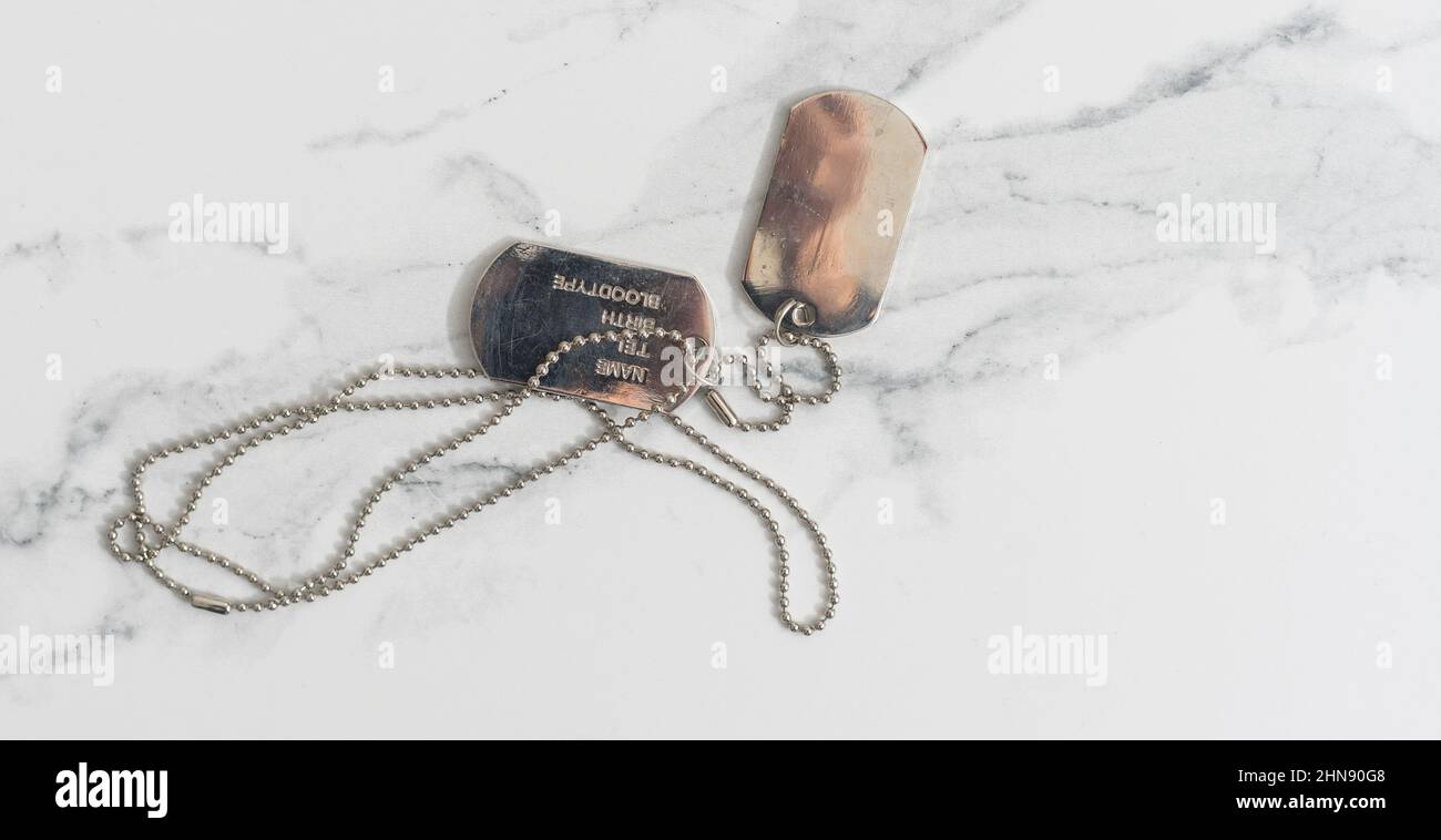 Pair of Blank Metal Tags. Isolated on a White Background Stock Photo ...