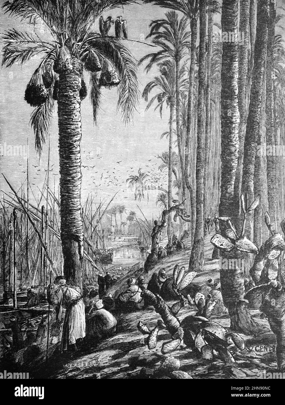 Mahmoudiyah Canal from the River Nile to Alexandria and the ...