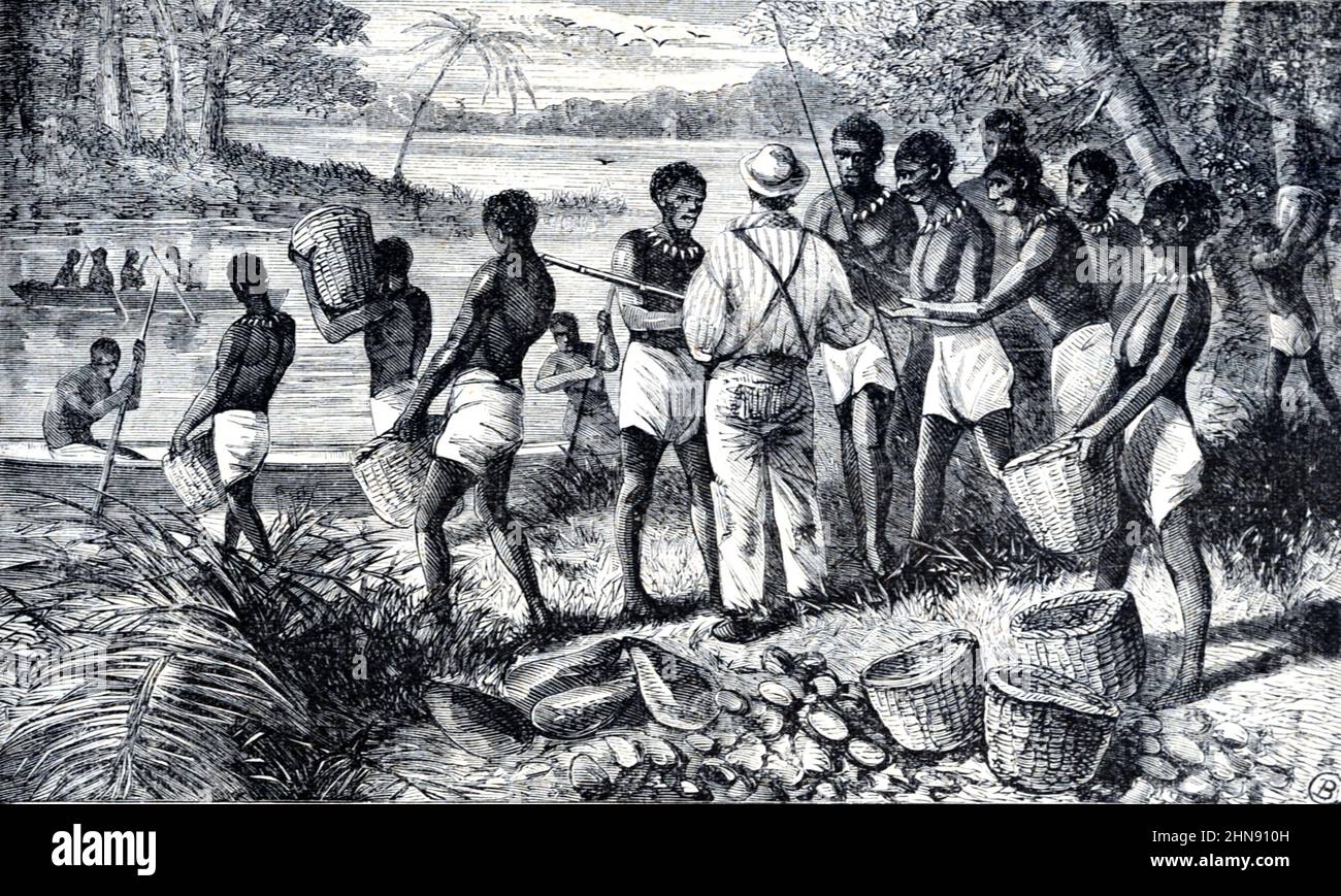 De brazza hi-res stock photography and images - Alamy