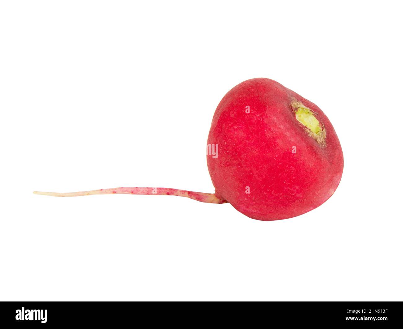 Small pink radish Cut Out Stock Images & Pictures - Alamy