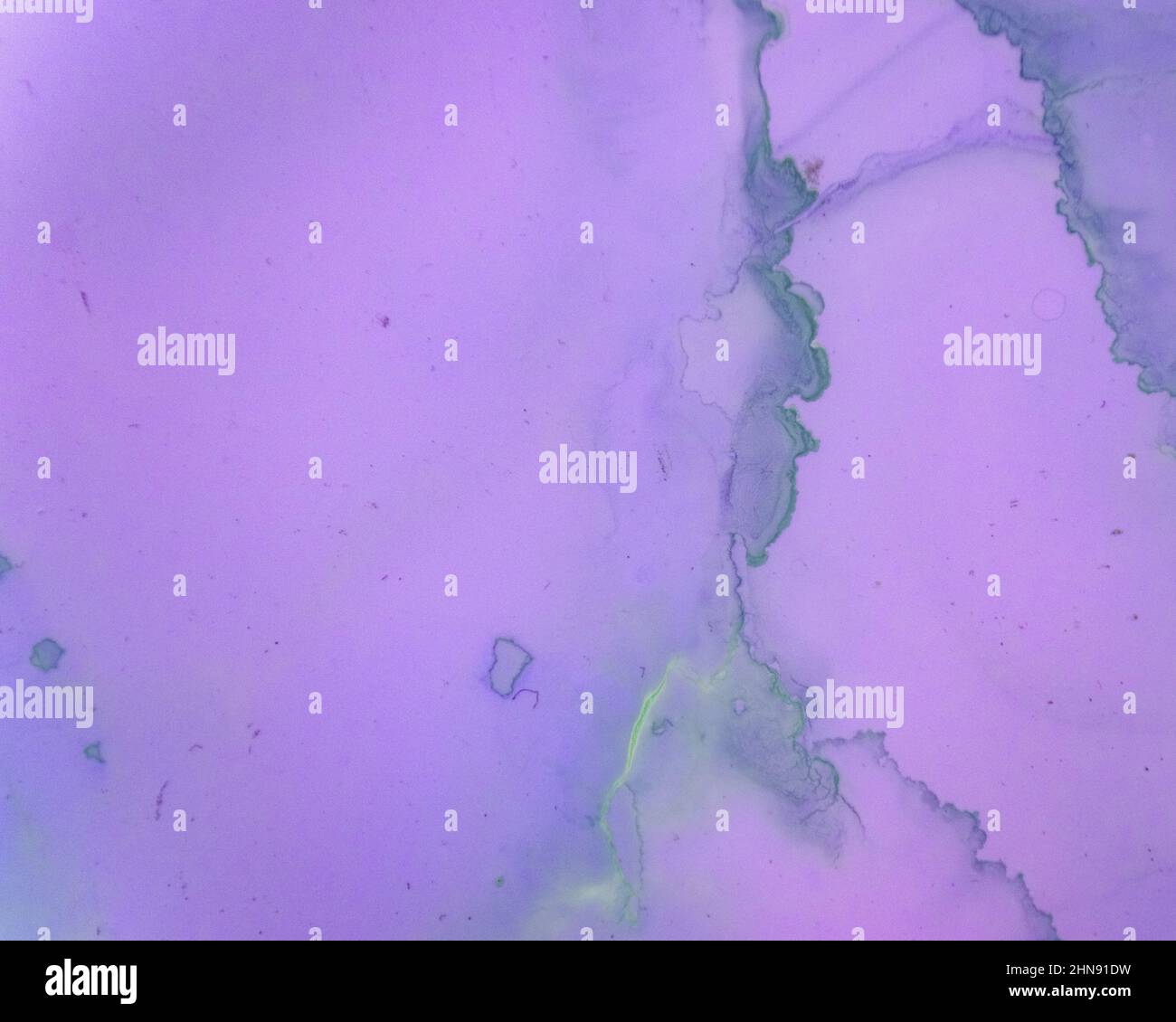 Ethereal Paint Texture. Alcohol Ink Wash Stock Photo - Alamy