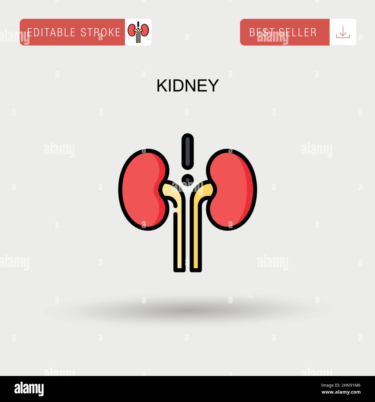 Hydronephrosis of the kidney hi-res stock photography and images - Alamy
