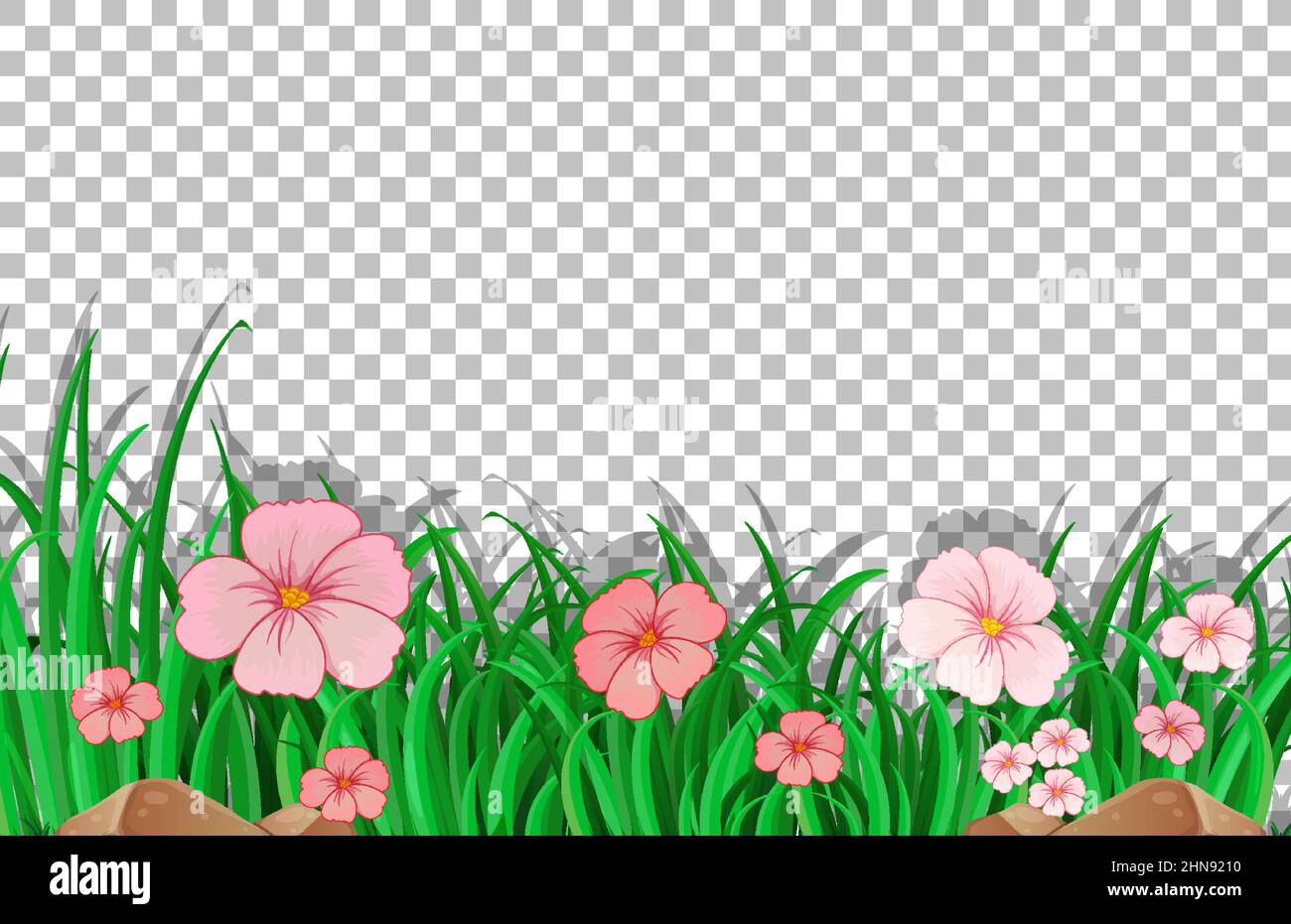 Pink flower field template on transparent background illustration Stock ...