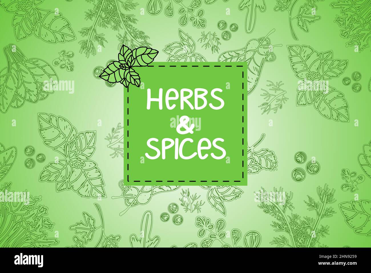 Herbs and spices, hand-drawn vector illustrations. Hand-drawn food ...