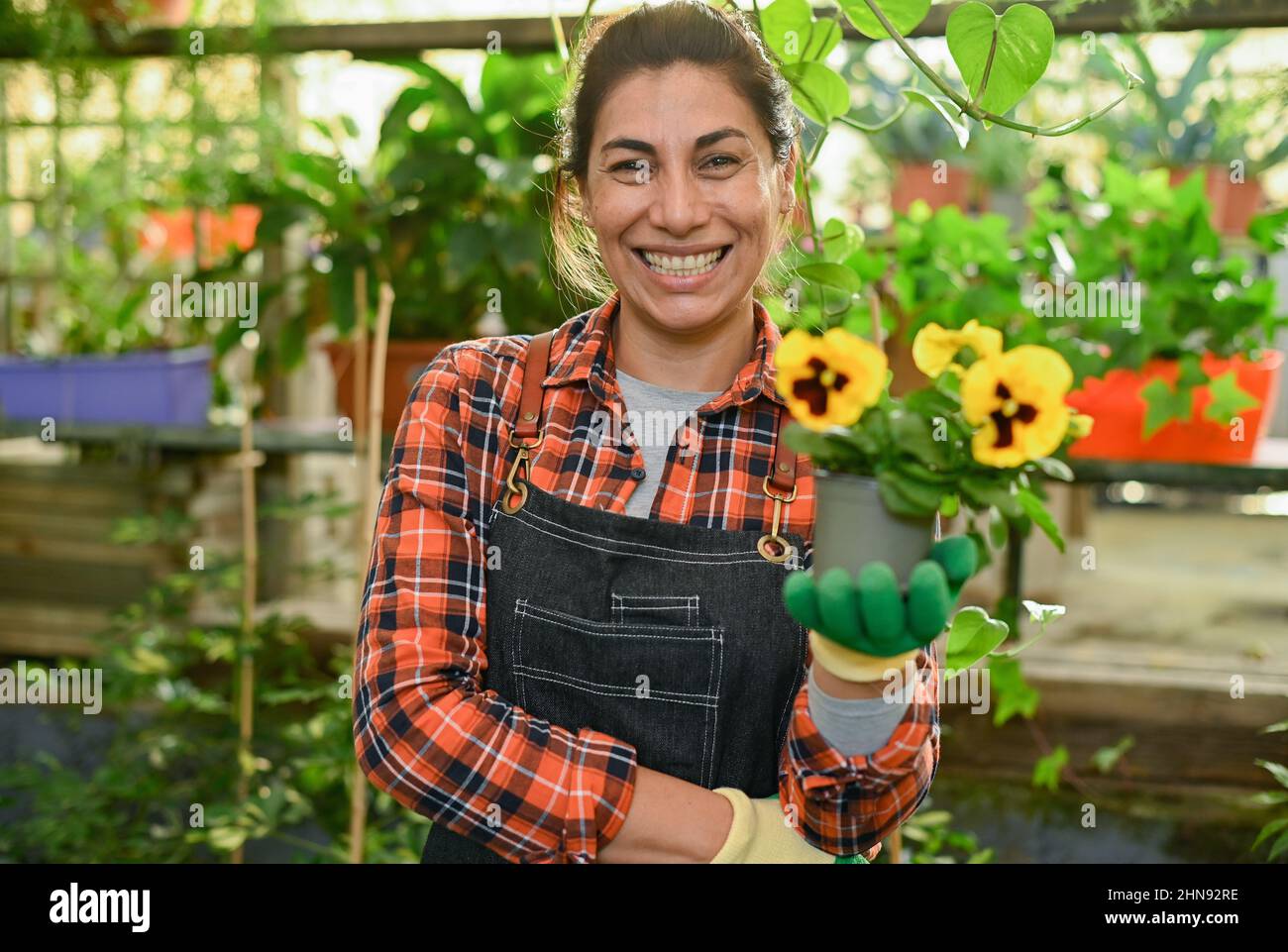 Merry gardener showing potted flower Stock Photo - Alamy