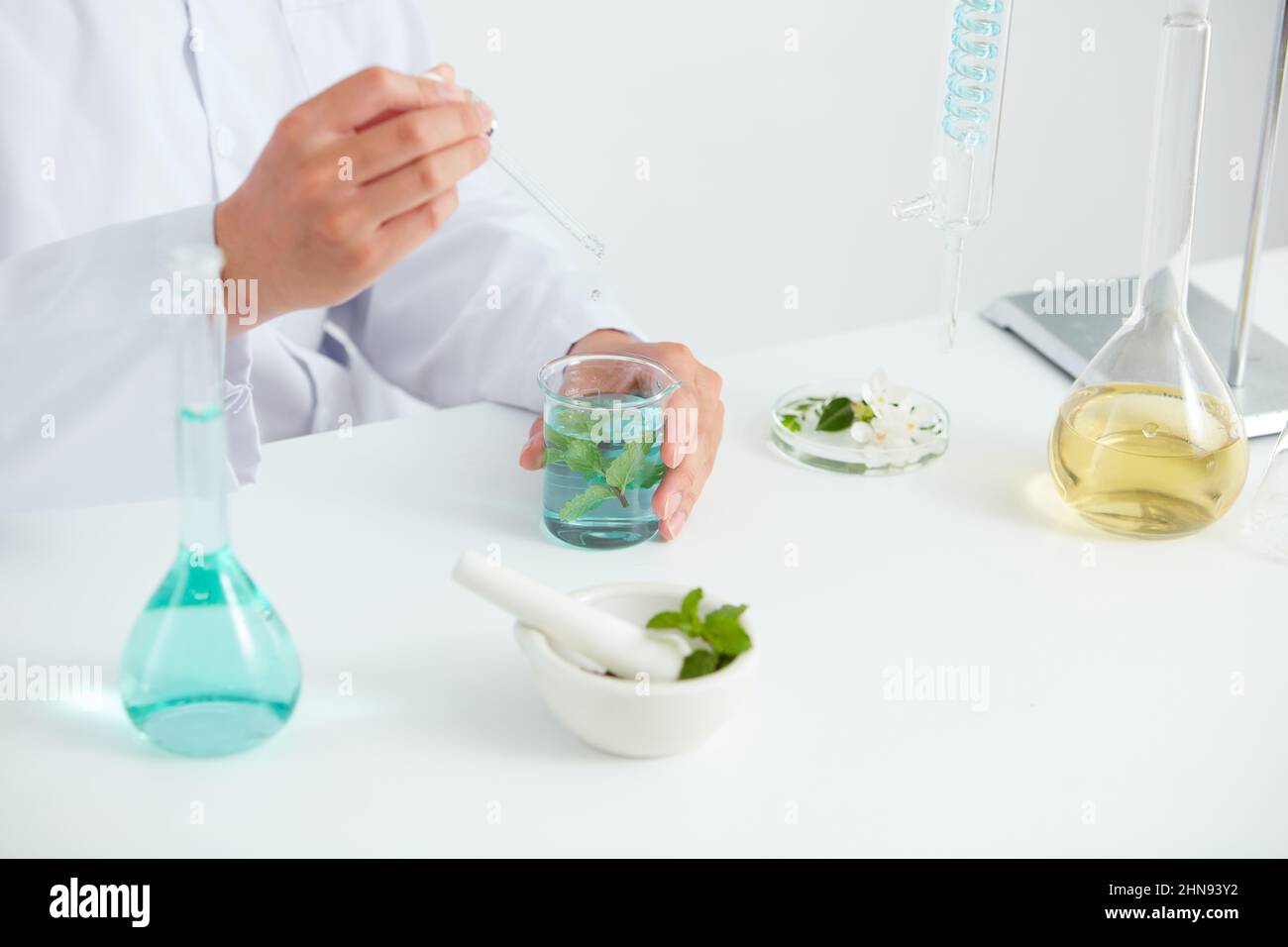 Plants and flowers extract in petri dish and a white background in ...