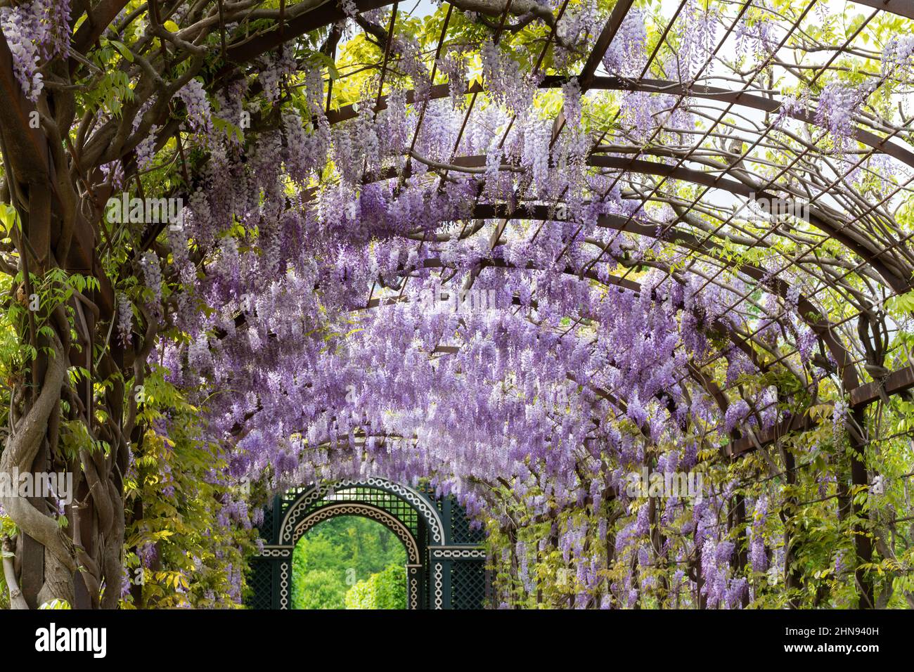 Arched pergola hi-res stock photography and images - Alamy