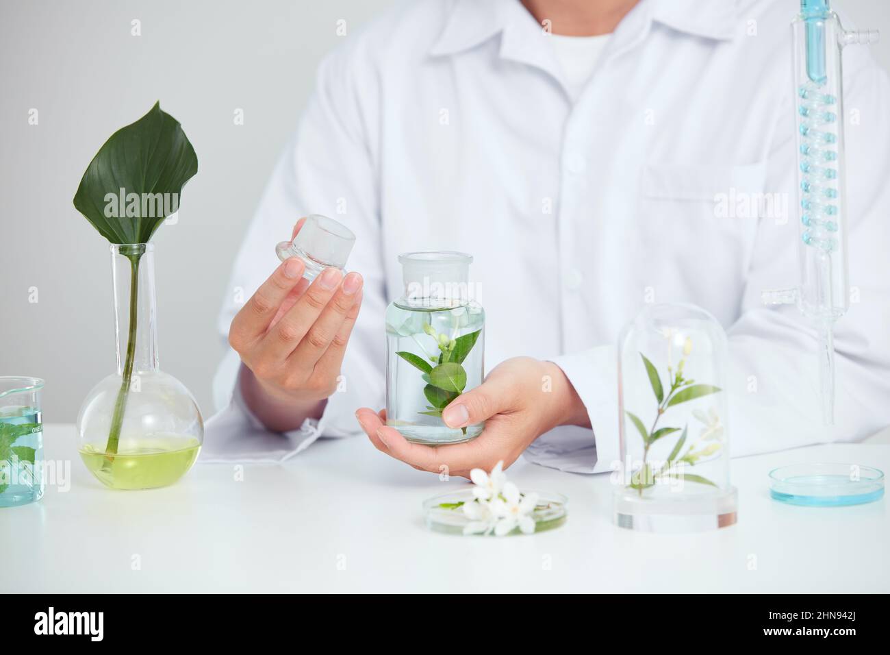 Plants and flowers extract in petri dish and a white background in ...