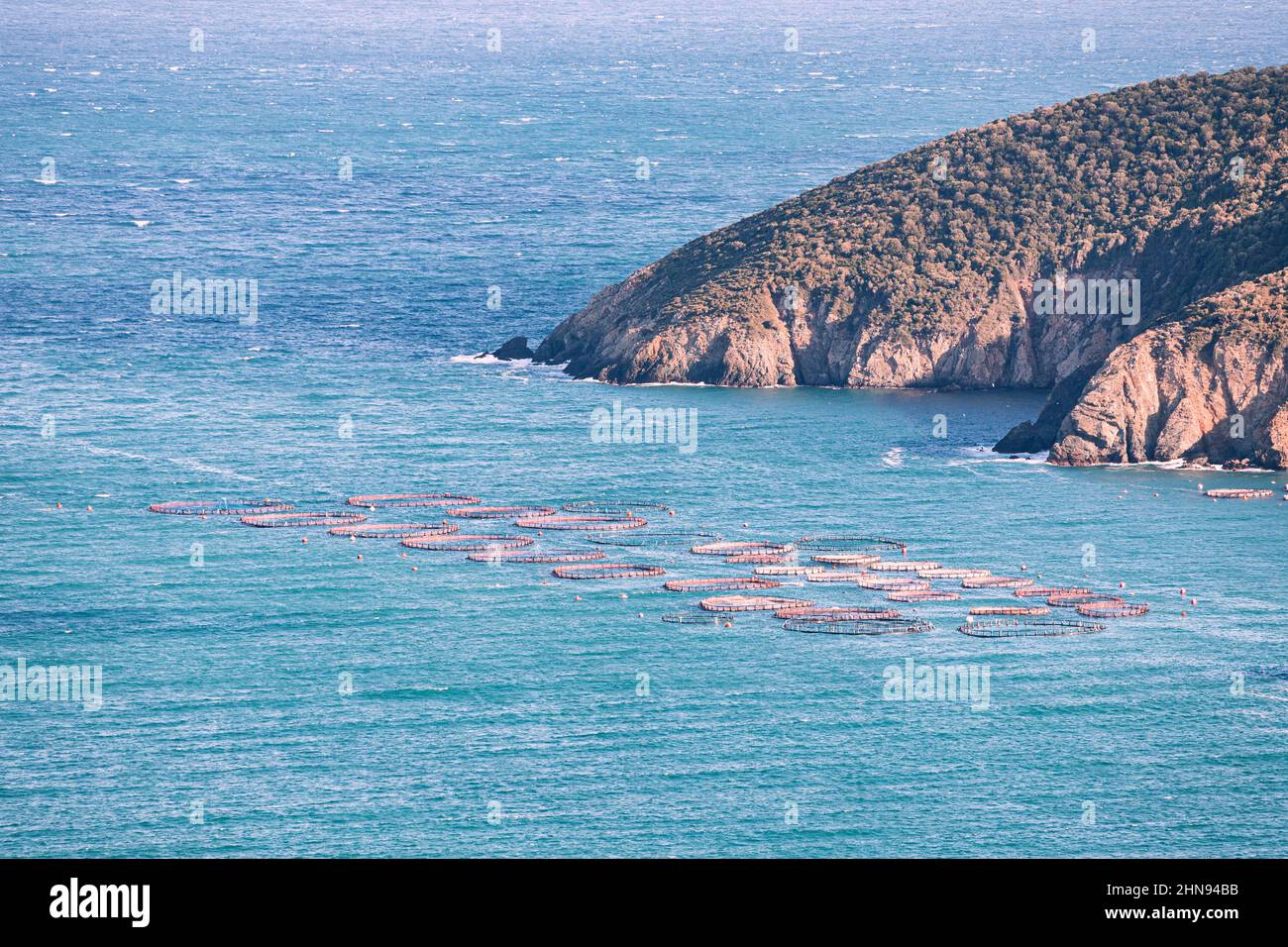 a fish farm in the sea near a high mountain. The concept of the salmon ...