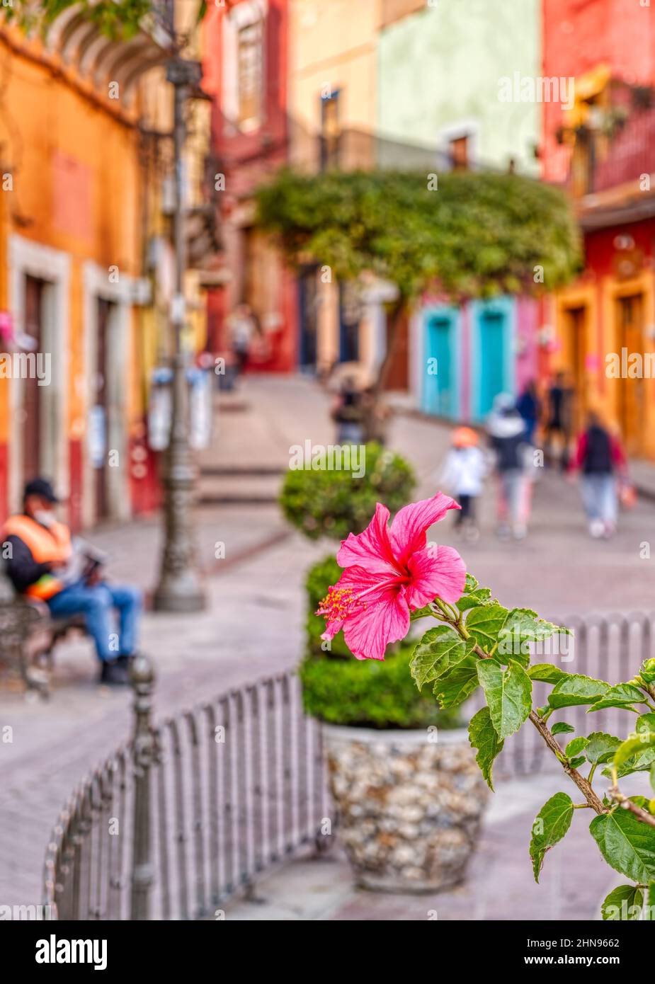 Guanajuato historical center, HDR Image Stock Photo - Alamy