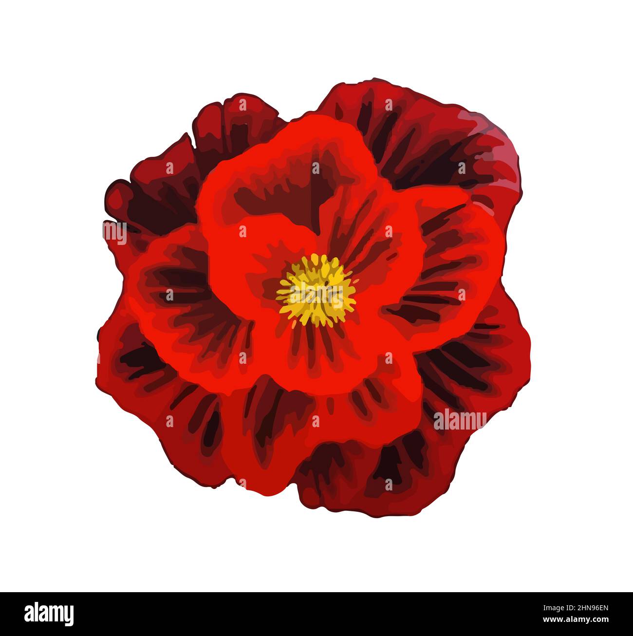 red flower painted color poster on white background Stock Photo - Alamy