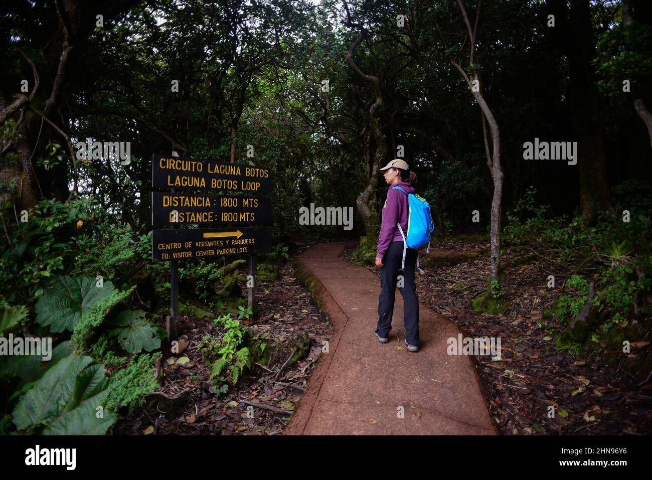 Young adventurous woman exploring Poas Volcano National Park in Costa ...