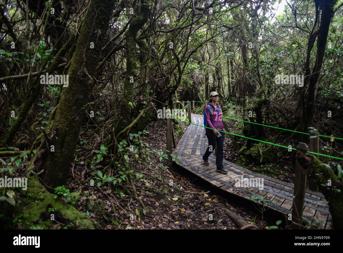 Young adventurous woman exploring Poas Volcano National Park in Costa ...