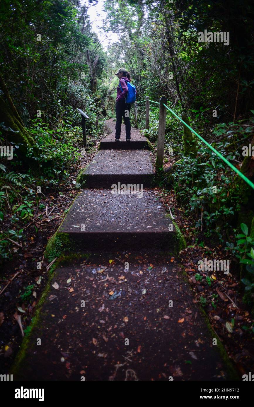 Young adventurous woman exploring Poas Volcano National Park in Costa ...
