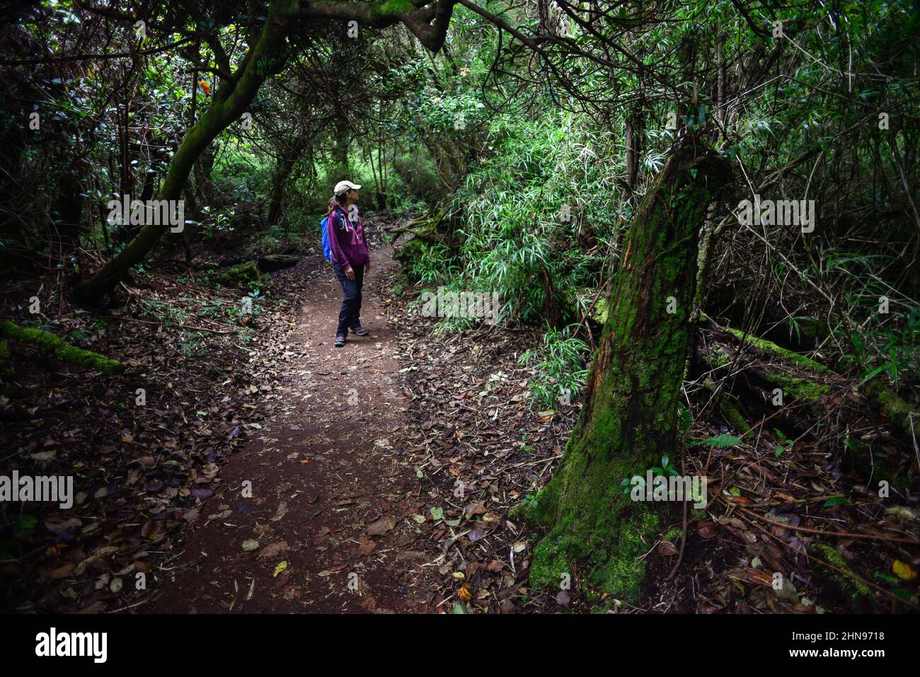 Young adventurous woman exploring Poas Volcano National Park in Costa ...