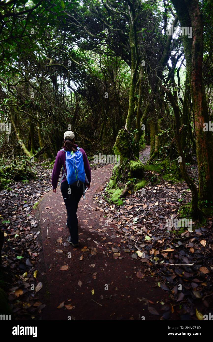 Young adventurous woman exploring Poas Volcano National Park in Costa ...