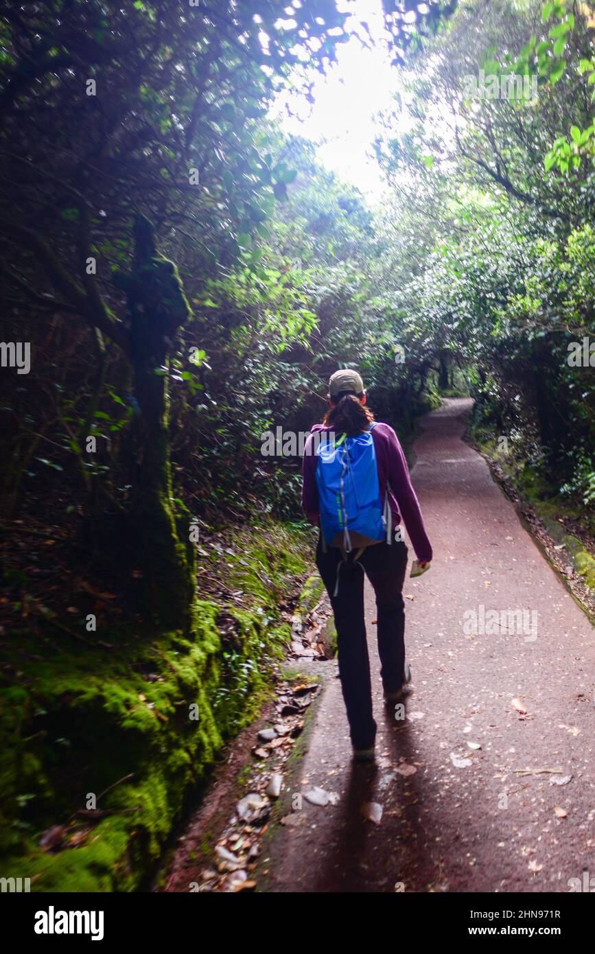 Young adventurous woman exploring Poas Volcano National Park in Costa ...