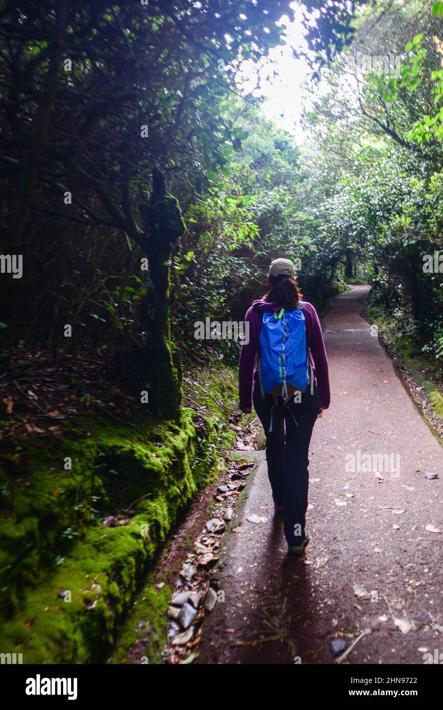 Young adventurous woman exploring Poas Volcano National Park in Costa ...