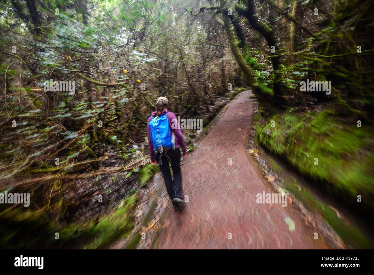 Young adventurous woman exploring Poas Volcano National Park in Costa ...