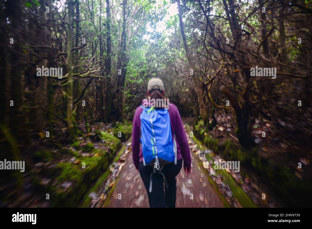 Young adventurous woman exploring Poas Volcano National Park in Costa ...