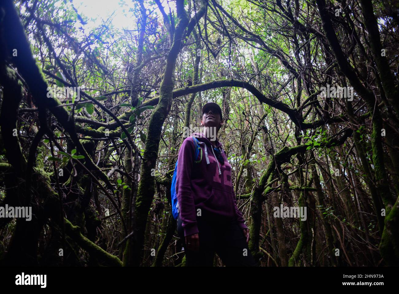 Young adventurous woman exploring Poas Volcano National Park in Costa ...