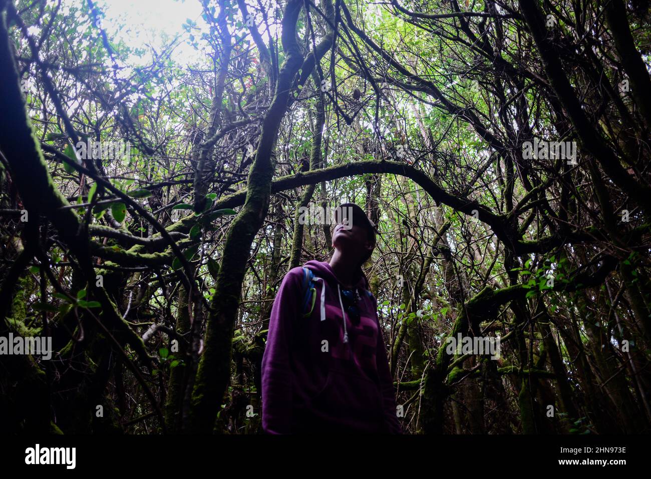 Young adventurous woman exploring Poas Volcano National Park in Costa ...