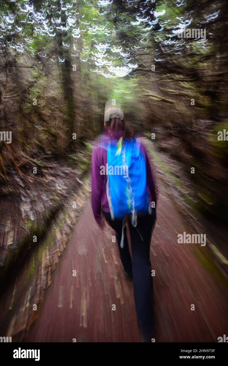Young adventurous woman exploring Poas Volcano National Park in Costa ...