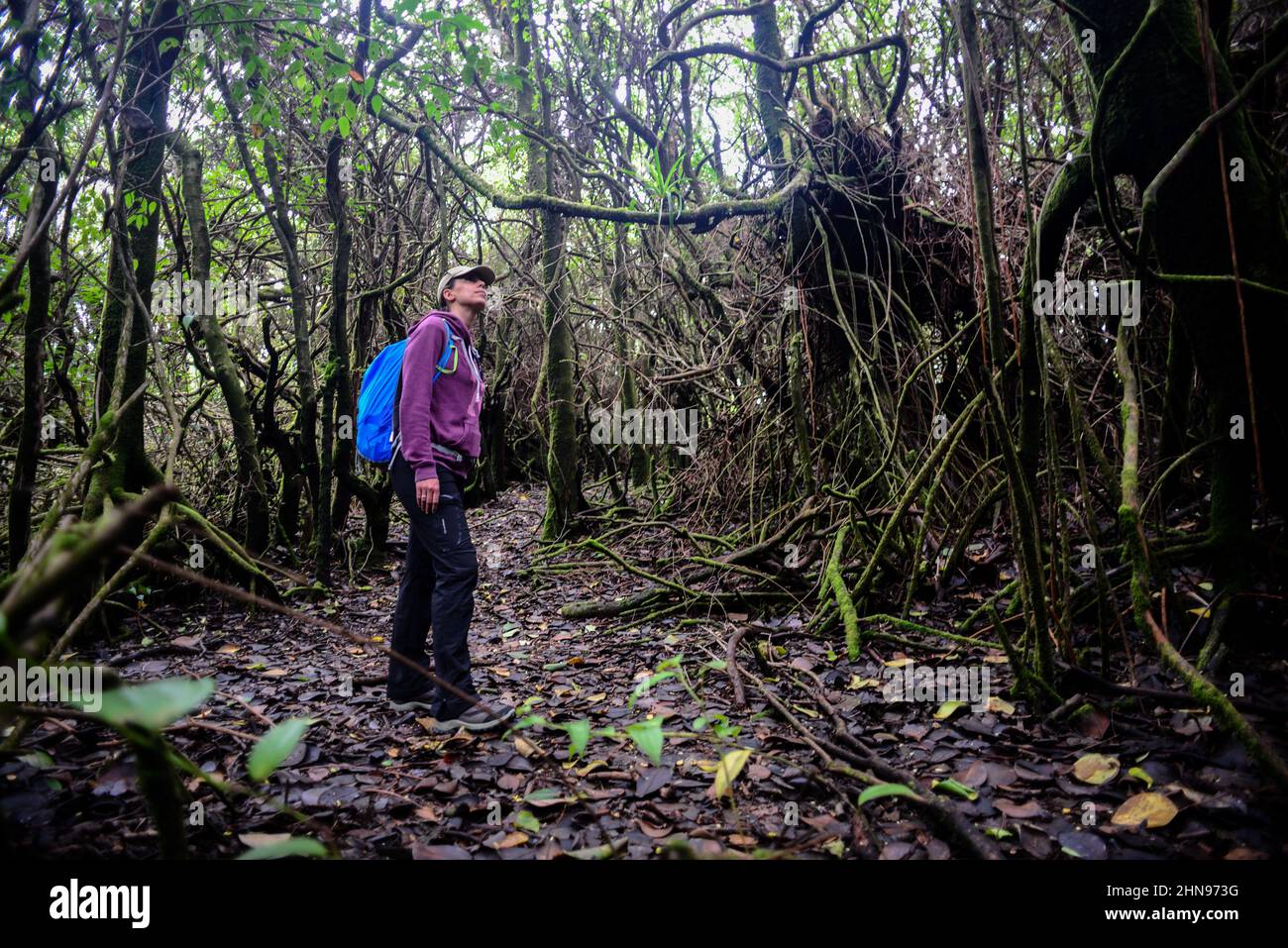 Young adventurous woman exploring Poas Volcano National Park in Costa ...