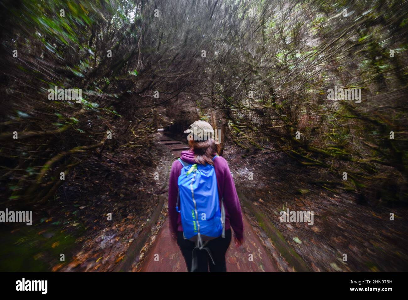 Young adventurous woman exploring Poas Volcano National Park in Costa ...
