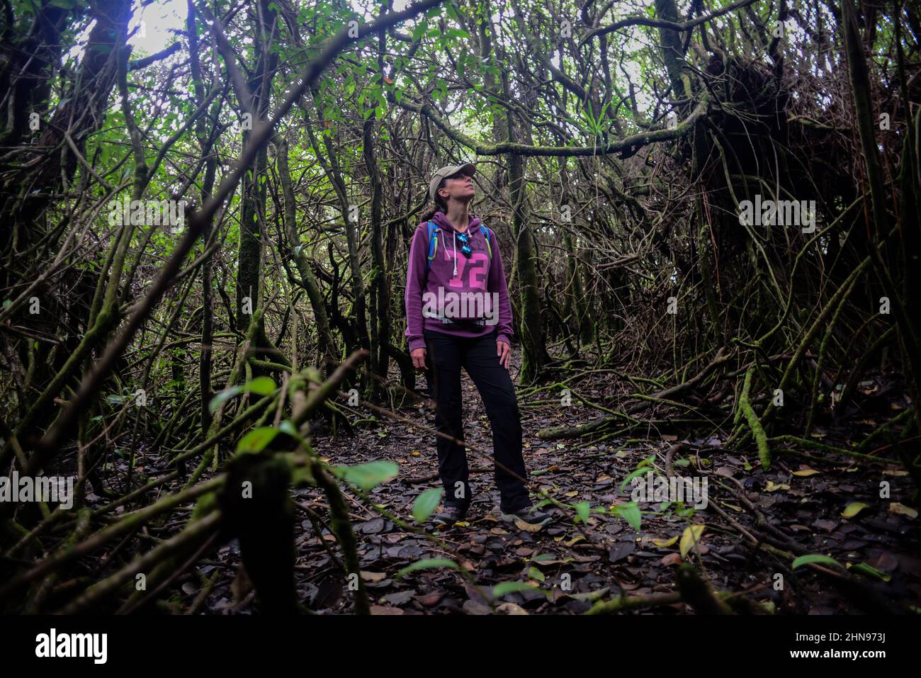 Young adventurous woman exploring Poas Volcano National Park in Costa ...