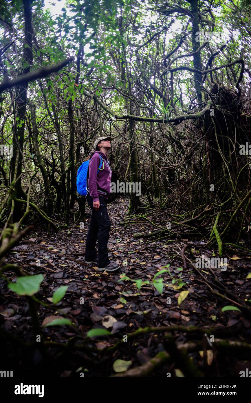 Young adventurous woman exploring Poas Volcano National Park in Costa ...