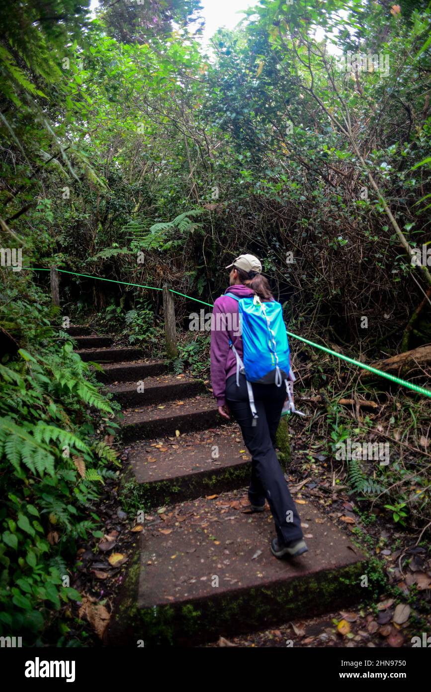 Young adventurous woman exploring Poas Volcano National Park in Costa ...